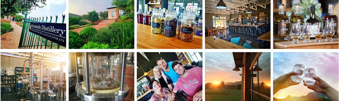 Tasting Room – Incendo Distillery